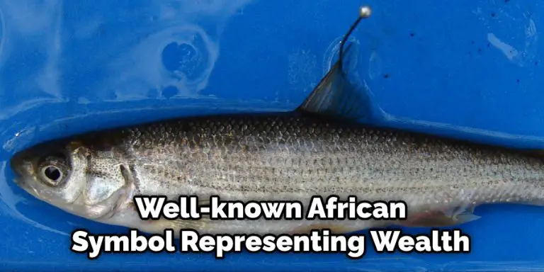 Boga Spiritual Meaning, Symbolism and Totem | Explained