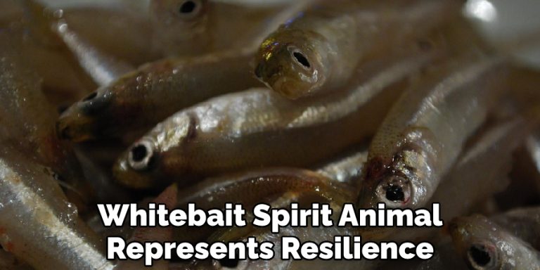 Whitebait Spiritual Meaning, Symbolism and Totem (2023)