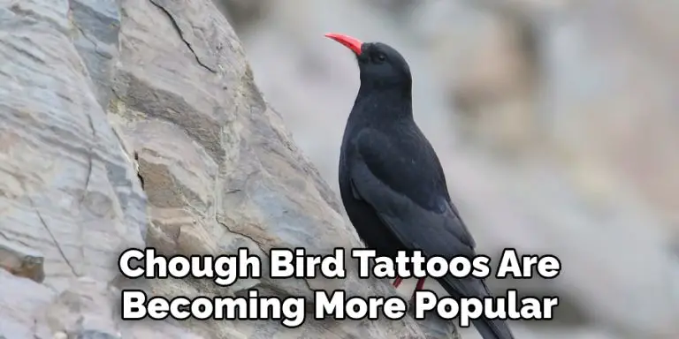 Chough Spiritual Meaning, Symbolism and Totem | Detailed Guide