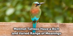 Motmot Spiritual Meaning, Symbolism and Totem | Detailed Guide