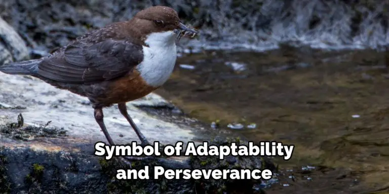 Dipper Spiritual Meaning, Symbolism and Totem | Explained