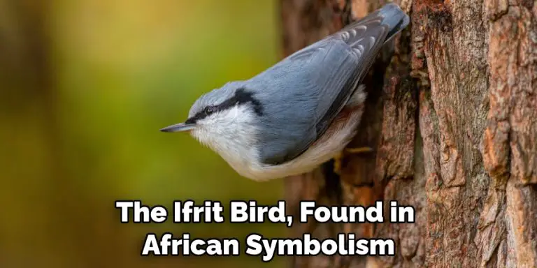 Ifrit Bird Spiritual Meaning, Symbolism and Totem (2025)