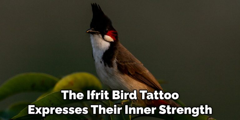 Ifrit Bird Spiritual Meaning, Symbolism and Totem (2025)