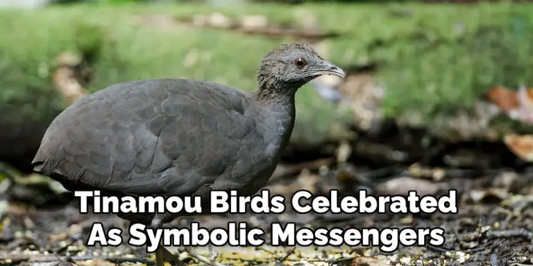 Tinamou Spiritual Meaning, Symbolism and Totem | Explanation
