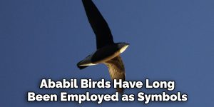 Ababil‎ Spiritual Meaning, Symbolism and Totem | Explained (2025)