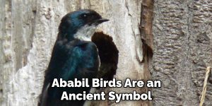 Ababil‎ Spiritual Meaning, Symbolism and Totem | Explained (2025)