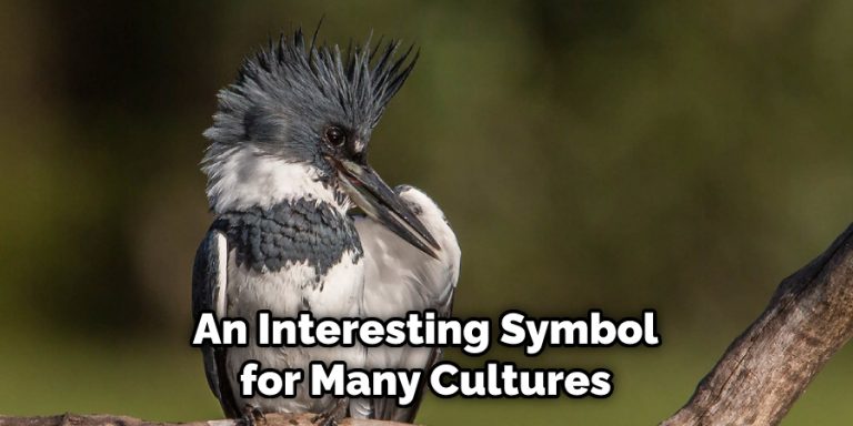Belted Spiritual Meaning, Symbolism and Totem | Detailed Guide