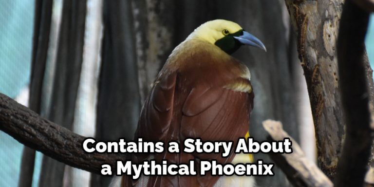 Lesser Spiritual Meaning, Symbolism and Totem | Explanation (2025)