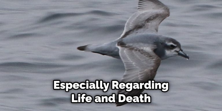 Prion Spiritual Meaning, Symbolism and Totem | Explained (2025)