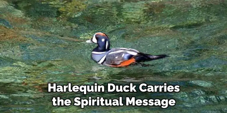 Harlequin Spiritual Meaning, Symbolism and Totem | Explained