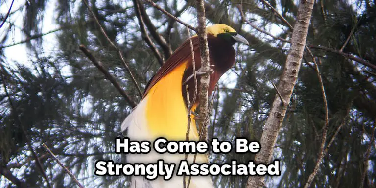 Lesser Spiritual Meaning, Symbolism and Totem | Explanation (2025)