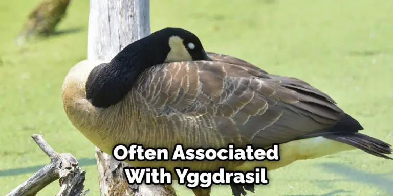 Cackling Spiritual Meaning, Symbolism and Totem | Explained (2025)