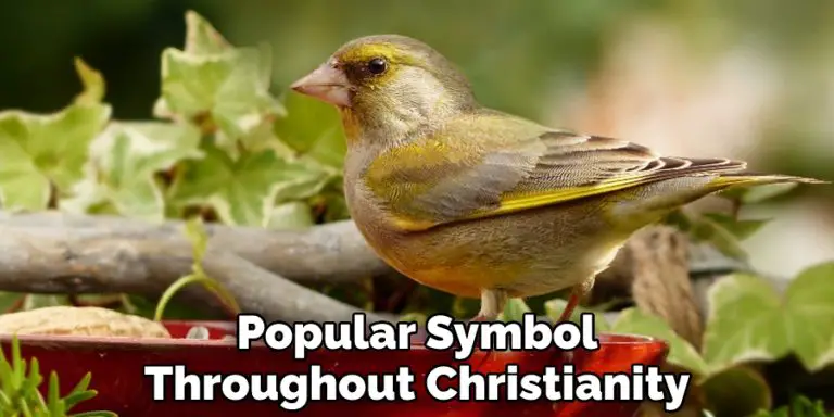Greenfinch Spiritual Meaning, Symbolism and Totem | Explanation