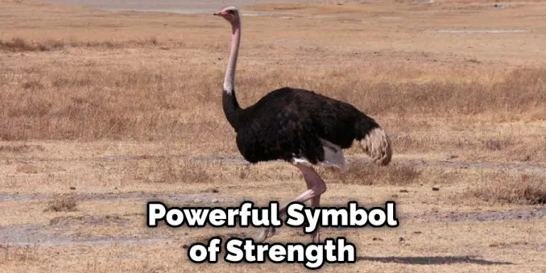Ostrich Spiritual Meaning, Symbolism and Totem | Explained (2025)