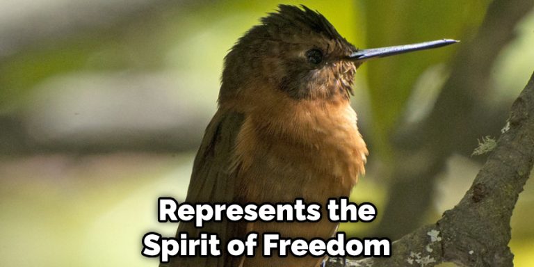 Sunbeam Spiritual Meaning, Symbolism and Totem | Detailed Guide