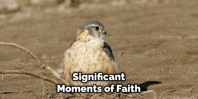 Merlin Spiritual Meaning, Symbolism and Totem | (2025)