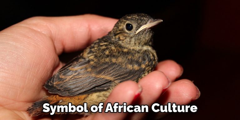 Nightingale Spiritual Meaning, Symbolism and Totem | Explained