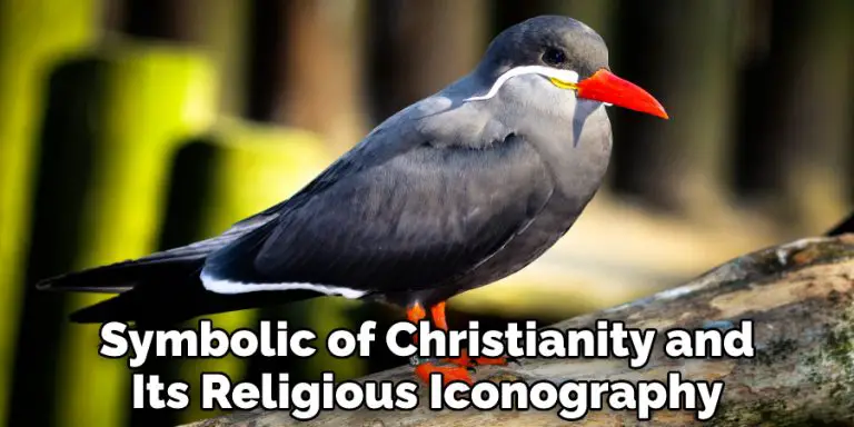 Inca Spiritual Meaning, Symbolism and Totem | Explained (2026)