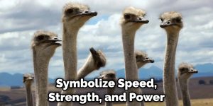 Ostrich Spiritual Meaning, Symbolism and Totem | Explained (2025)