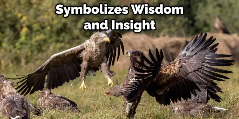 Eagles Spiritual Meaning, Symbolism and Totem | Explained (2025)