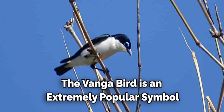 Vanga Spiritual Meaning, Symbolism and Totem in Detailed Guide