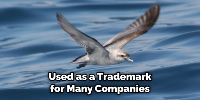 Prion Spiritual Meaning, Symbolism and Totem | Explained (2025)