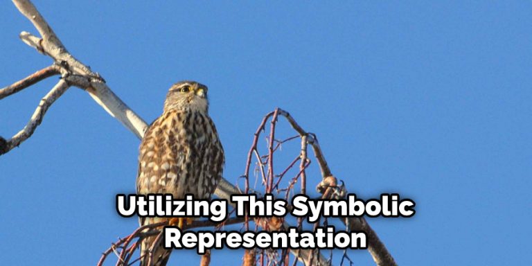 Merlin Spiritual Meaning, Symbolism and Totem | (2025)