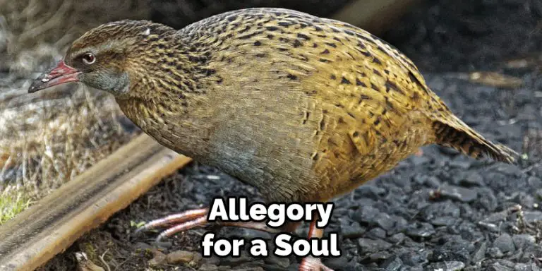 Rail Spiritual Meaning, Symbolism and Totem | Explanation (2025)