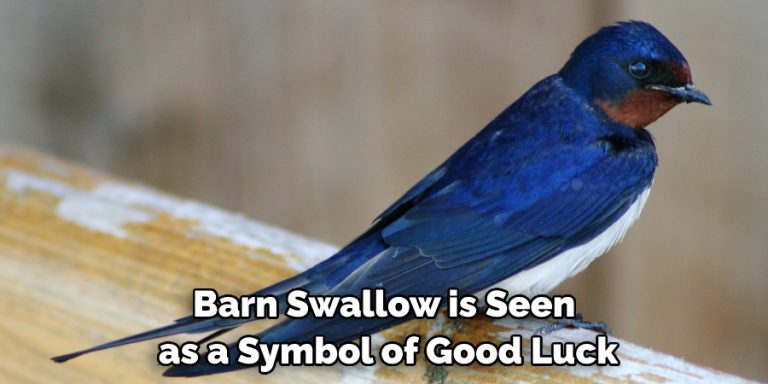 Barn Spiritual Meaning, Symbolism and Totem | Detailed Guide