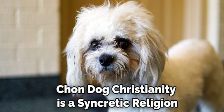 Chon Spiritual Meaning, Symbolism and Totem | Detailed Guide