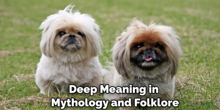 Pekingese Spiritual Meaning, Symbolism and Totem | Explained