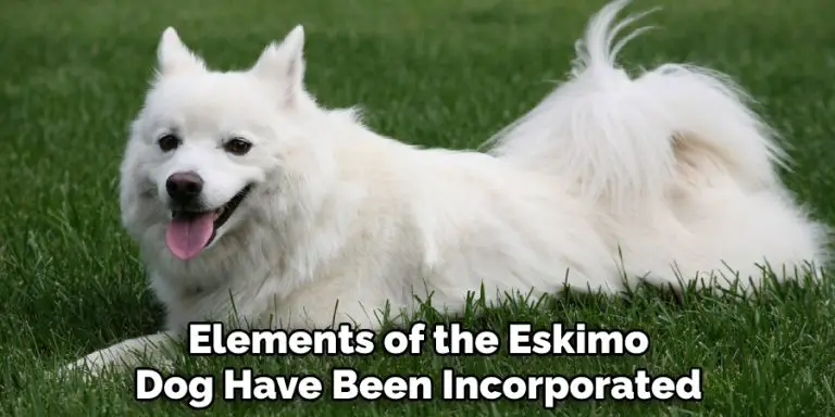 Eskimo Spiritual Meaning, Symbolism and Totem | Explained (2025)