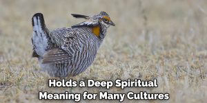 Prairie Spiritual Meaning, Symbolism and Totem | Explained (2026)