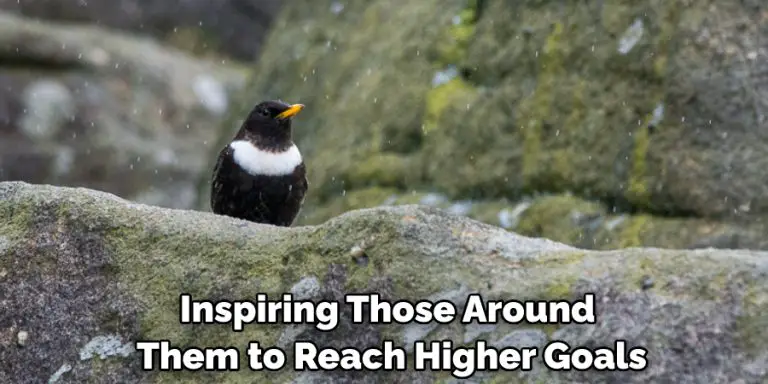 Ouzel Spiritual Meaning, Symbolism and Totem | Detailed Guide