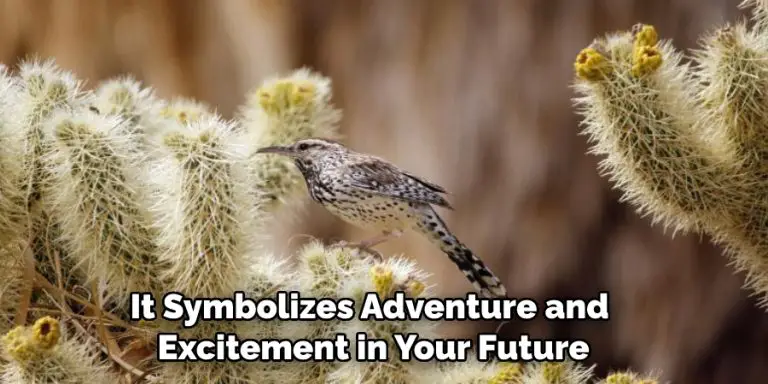 Cactus Spiritual Meaning, Symbolism and Totem | Explanation