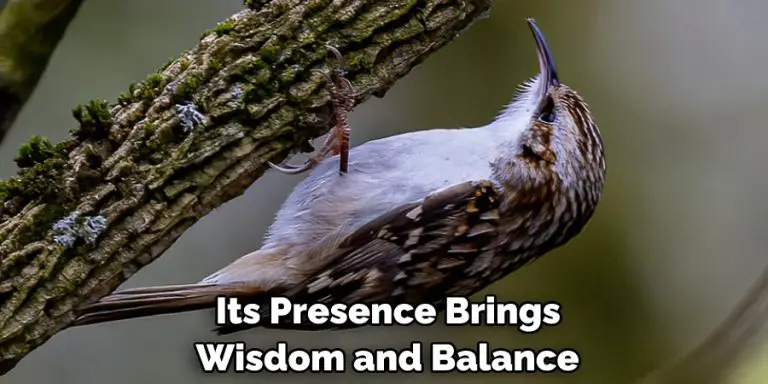 Creeper Spiritual Meaning, Symbolism and Totem | Explained (2025)