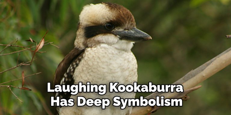 Laughing Spiritual Meaning, Symbolism and Totem | Explanation