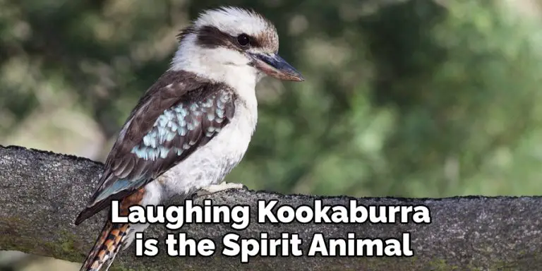 Laughing Spiritual Meaning, Symbolism and Totem | Explanation