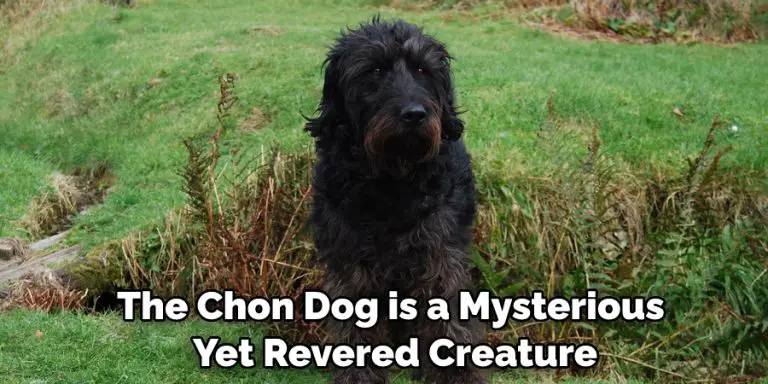 Chon Spiritual Meaning, Symbolism and Totem | Detailed Guide