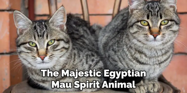 Mau Spiritual Meaning, Symbolism and Totem | Instructions (2025)