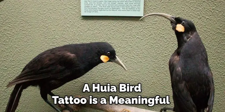Huia Spiritual Meaning, Symbolism and Totem | Explained (2025)