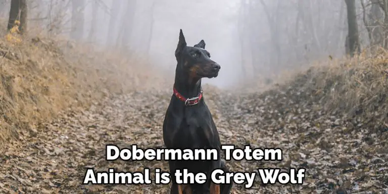 Dobermann Spiritual Meaning, Symbolism and Totem | Explained
