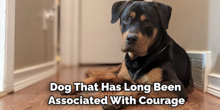 Rottweiler Spiritual Meaning, Symbolism and Totem | Explained