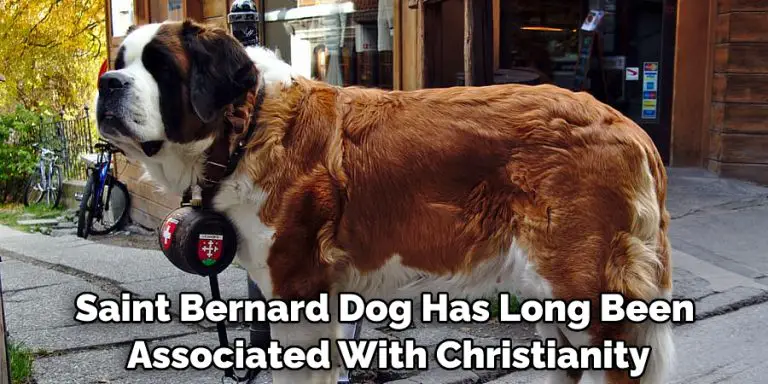 Saint Bernard Spiritual Meaning, Symbolism and Totem | Explained