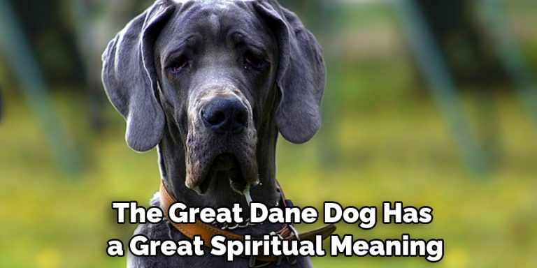 Great Dane Spiritual Meaning, Symbolism and Totem | Explained