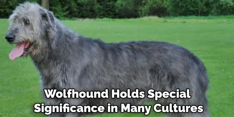 Irish Wolfhound Spiritual Meaning, Symbolism and Totem | Explained