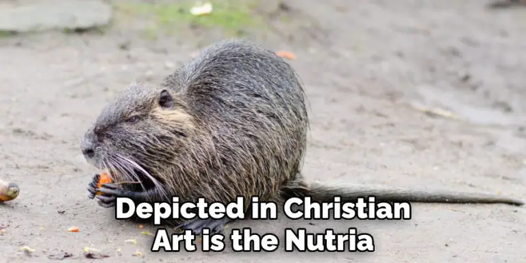 Nutria Spiritual Meaning, Symbolism and Totem | Detailed Guide