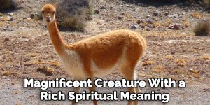 Guanaco Spiritual Meaning, Symbolism and Totem | Explained (2026)