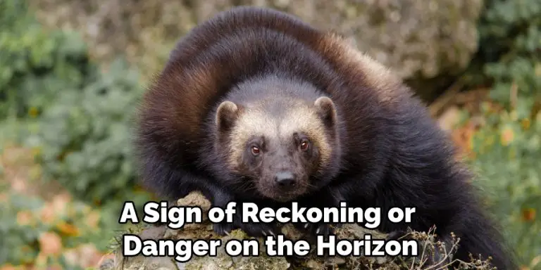 Wolverine Spiritual Meaning, Symbolism and Totem (2026)