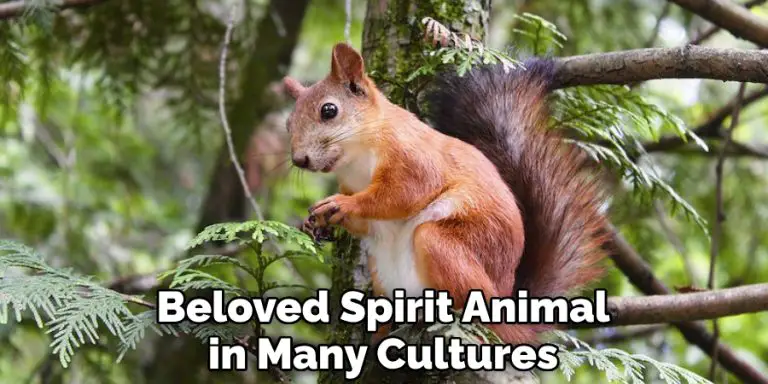 Squirrel Spiritual Meaning, Symbolism and Totem | Detailed Guide